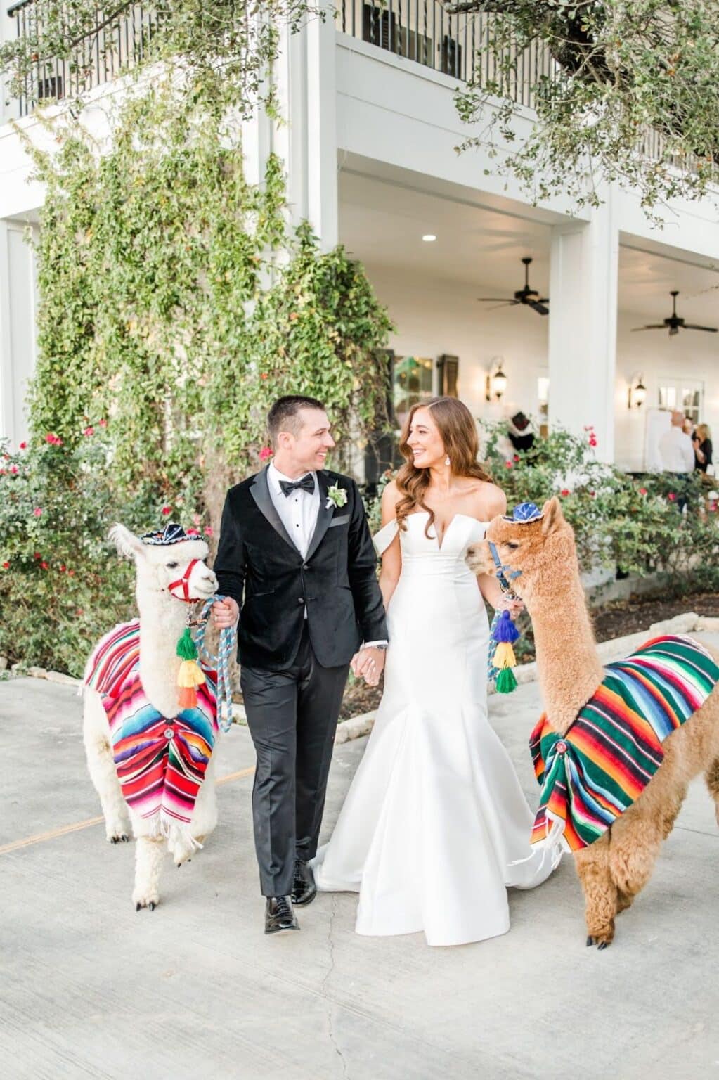 Mexican Wedding Traditions We Love to See - Kendall Point